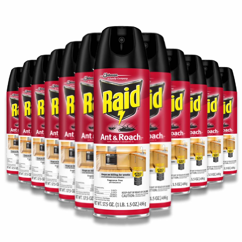 Raid - Ant And Roach Killer Aerosol Spray, Fragance Free - 17.5 Oz - 1 ...